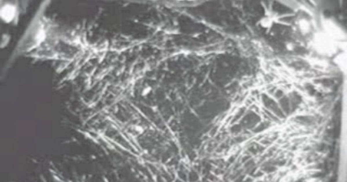 Oh, what a tangled web space spiders weave