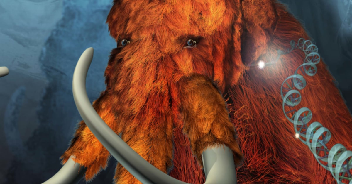 Woolly mammoth task: Critter's DNA mapped