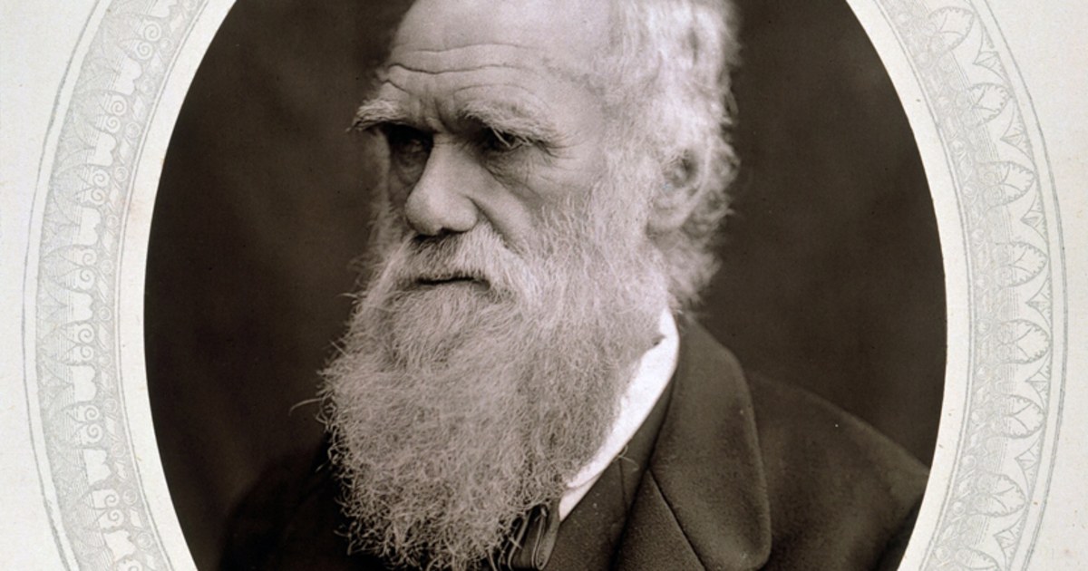 Charles Darwin was crazy about dinosaurs