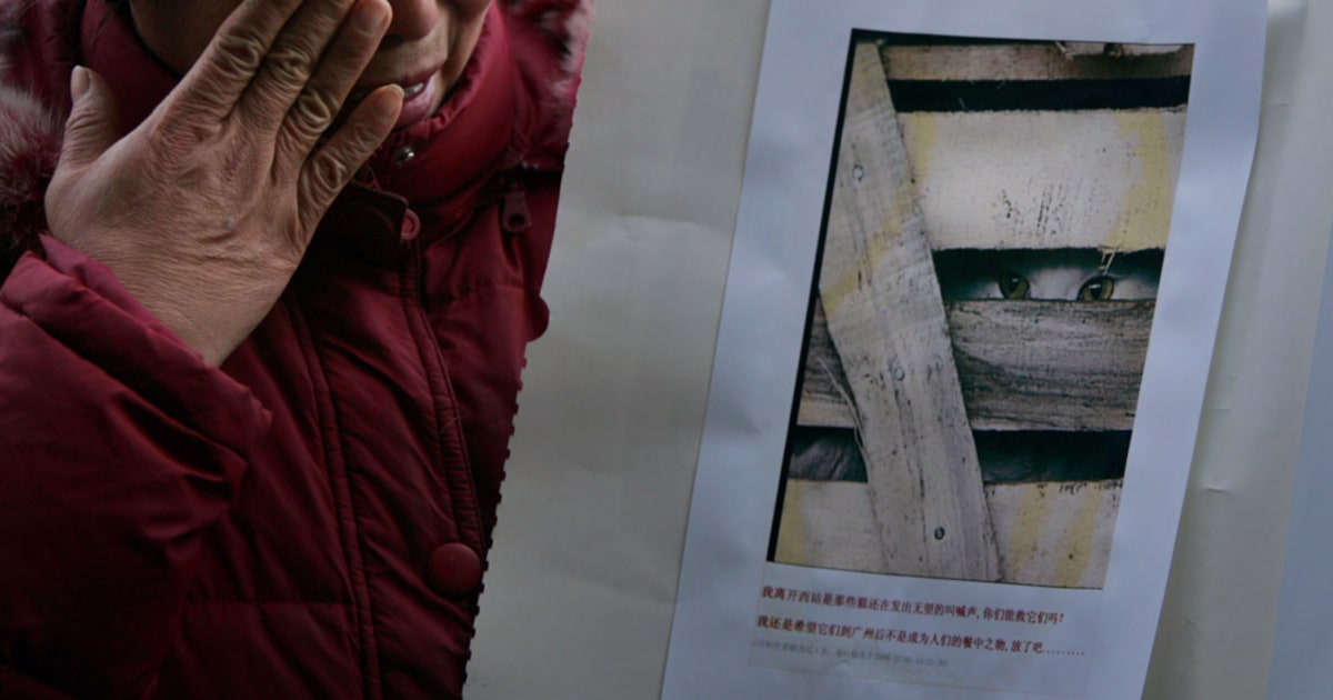 China protesters: Stop 'cooking cats alive'
