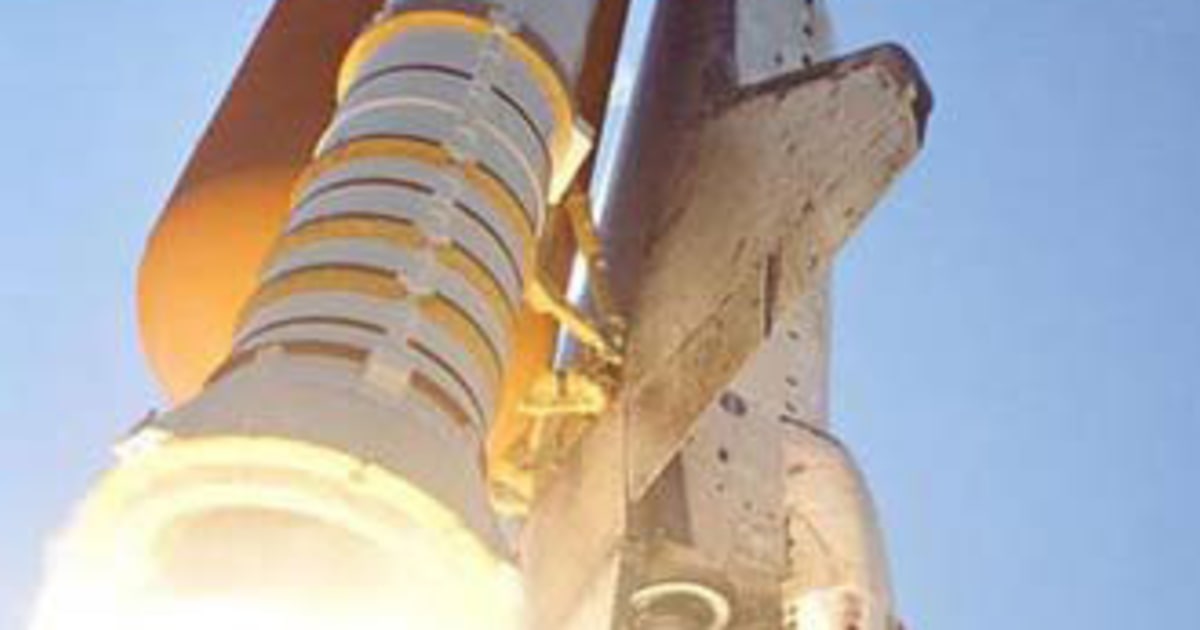 Bird strikes could threaten space shuttles, too