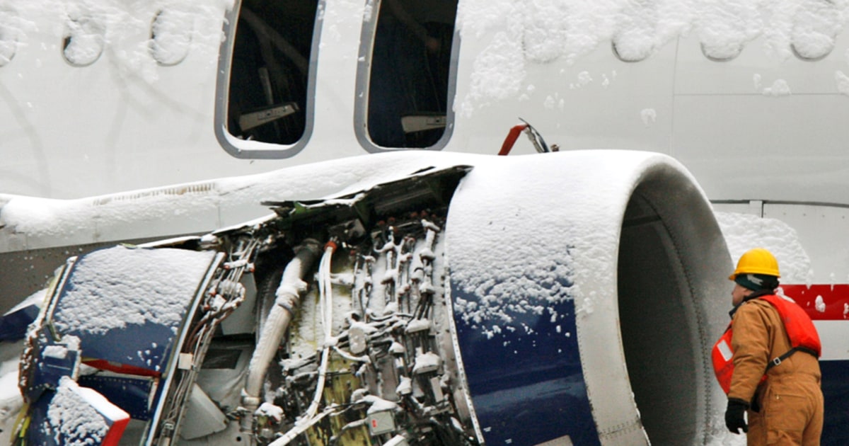 Possible bird found in airliner engine