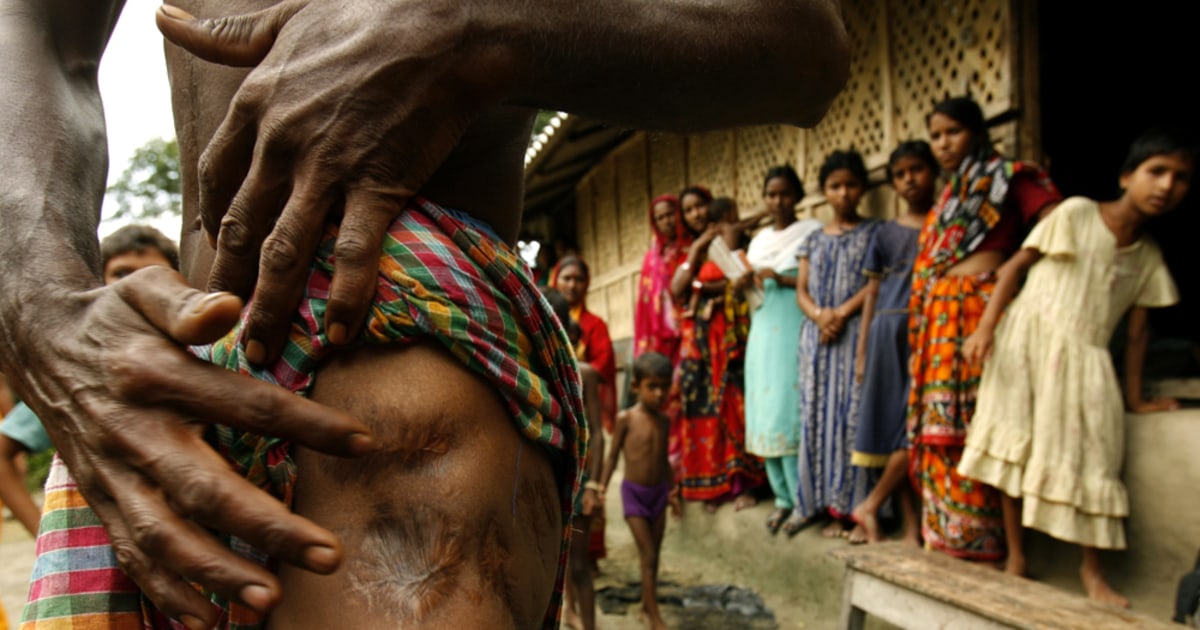 Villagers cower as tigers kill at least 7 in India