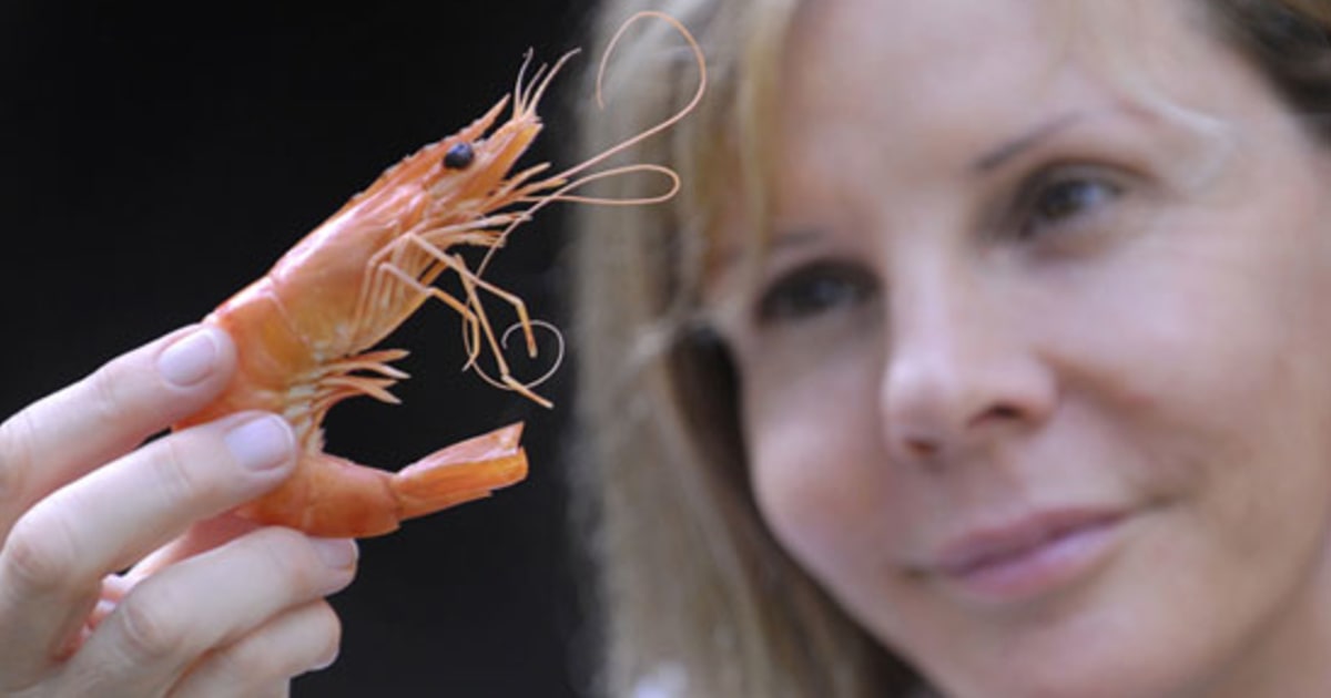 'Prawnography' reveals lack of lust