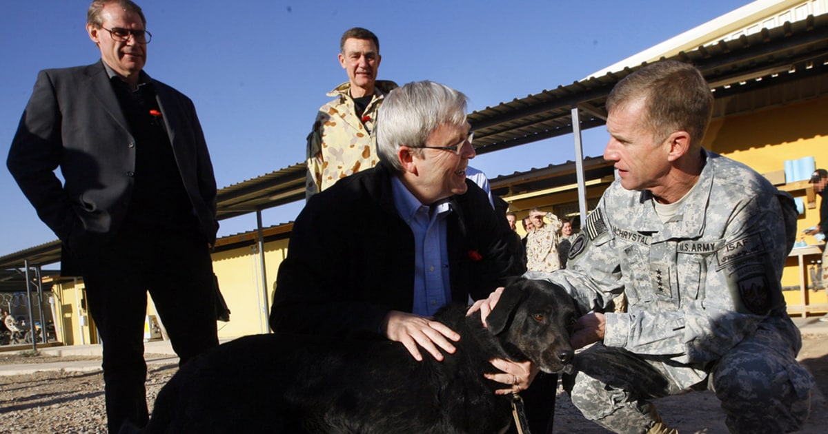 MIA dog found in Afghanistan after 14 months