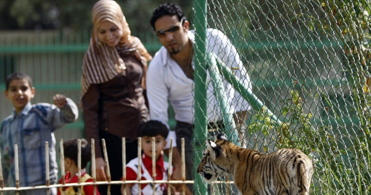 Baghdad’s once ravaged zoo comes back to life