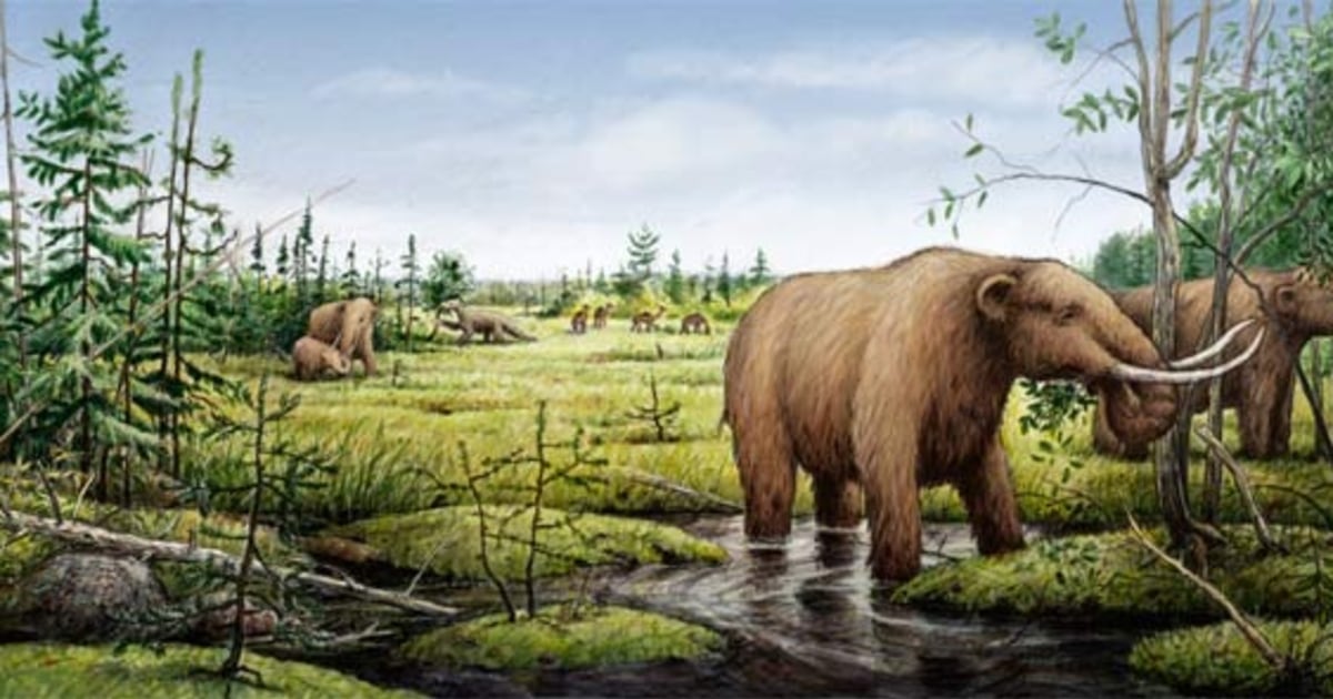 Extinction of giant mammals altered landscape