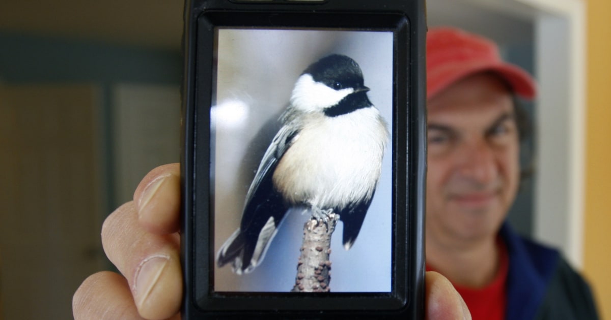 iPhone app lets you bird-watch on the go