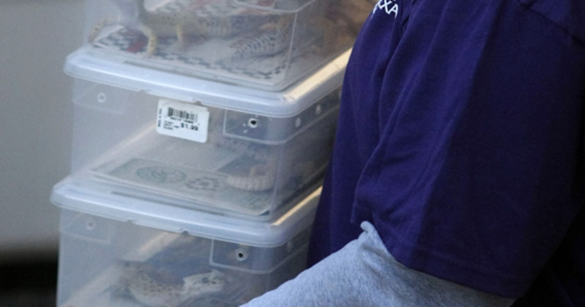 20,000 exotic animals seized in Texas raid