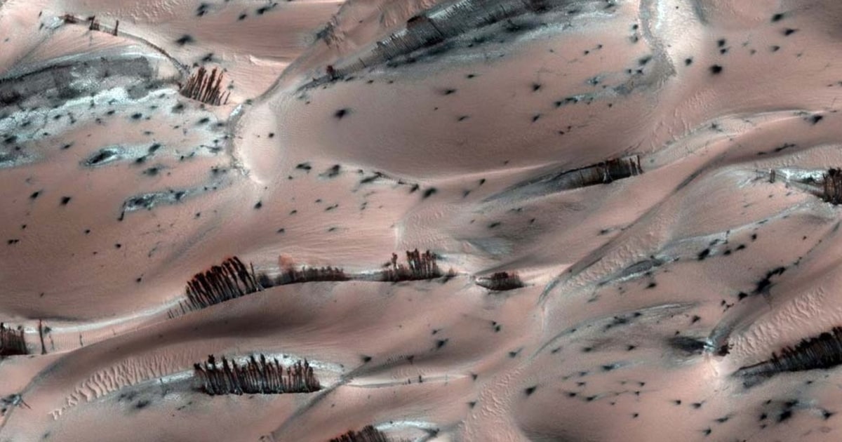 Strange Mars photo includes ‘tree’ illusion