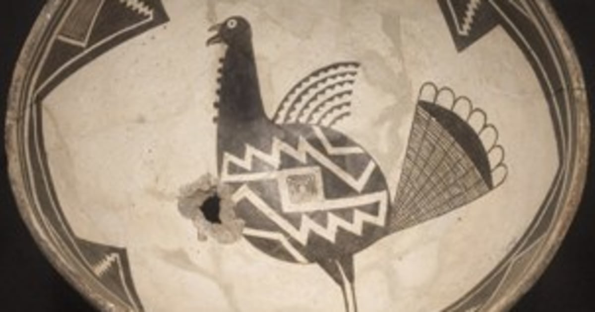 Native Americans tamed turkeys in 800 B.C.