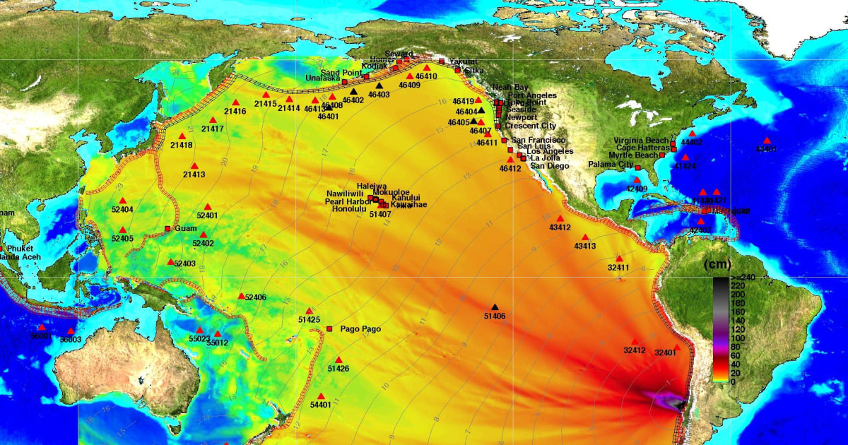 Updated tsunami warning system in action