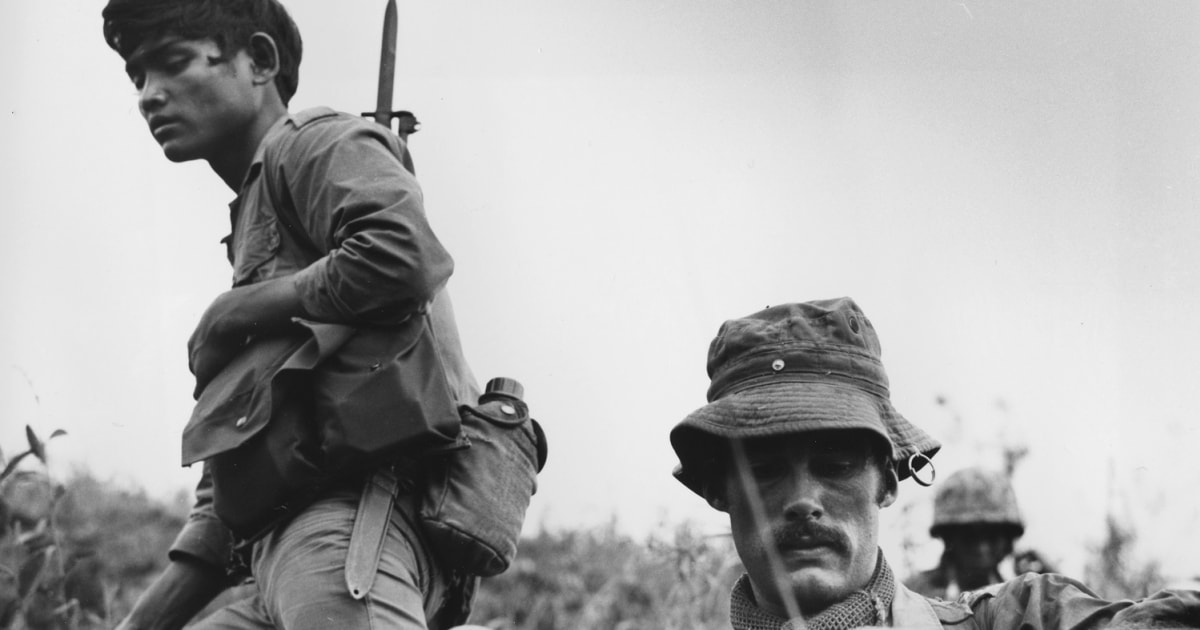 Searchers: Remains of Errol Flynn's son found