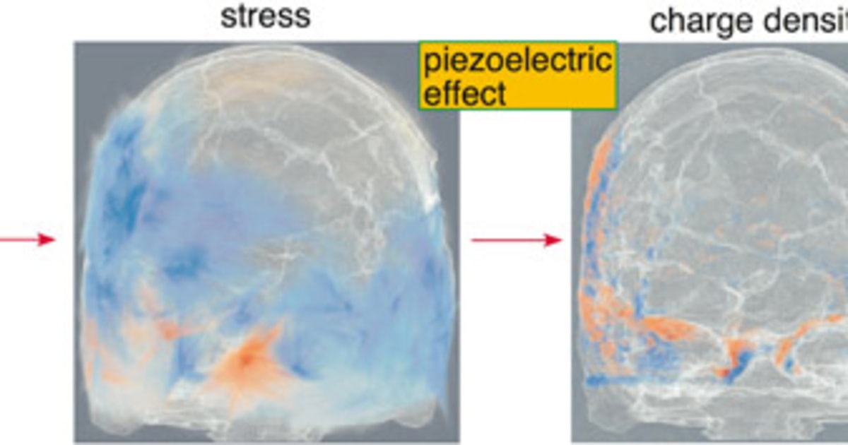 Study: Bomb's shock waves may electrify brain
