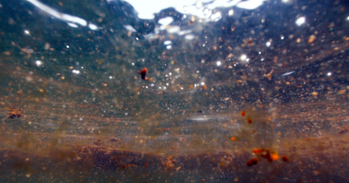 Subsea oil plumes found 142 miles from rig