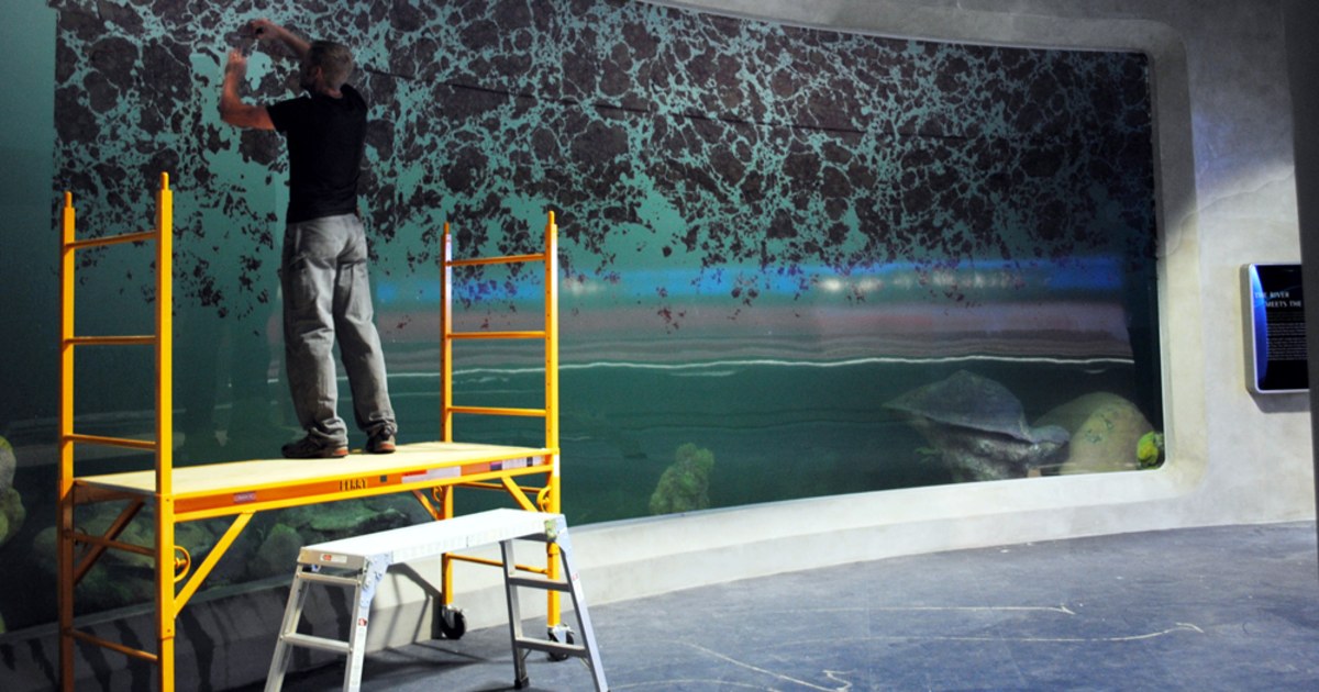 Aquarium exhibit loses sealife for spill