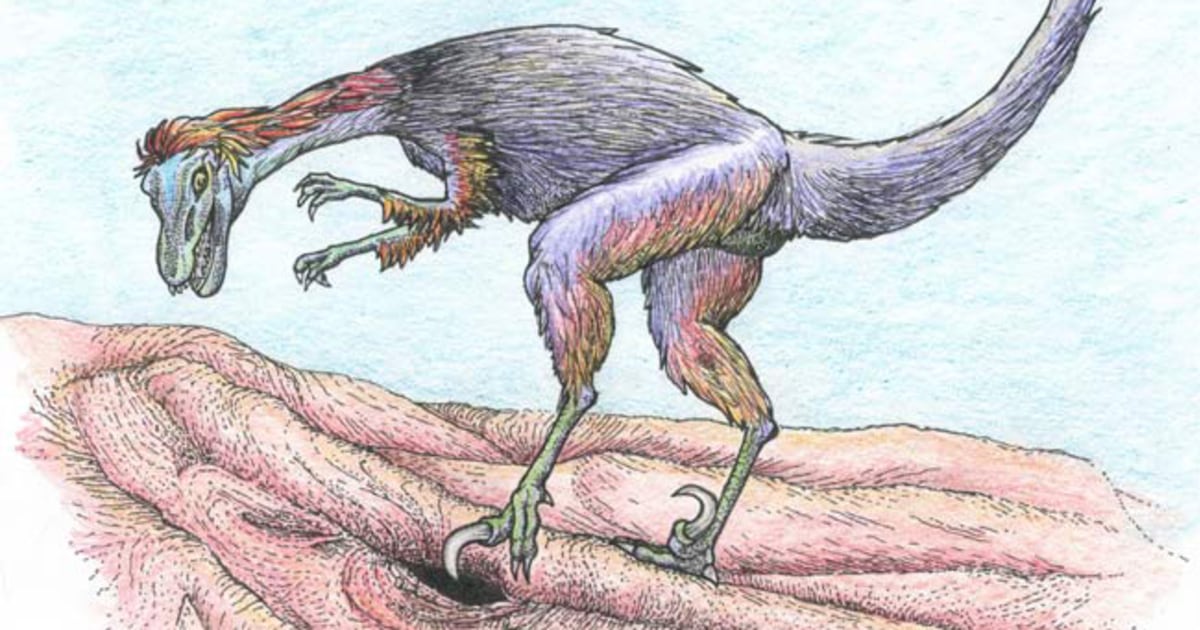 Clawed dino caught in act of digging for prey