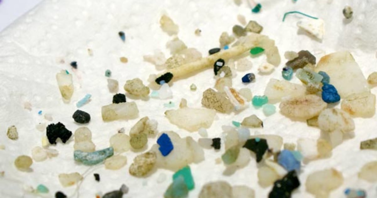Atlantic Ocean's garbage patch still a mystery