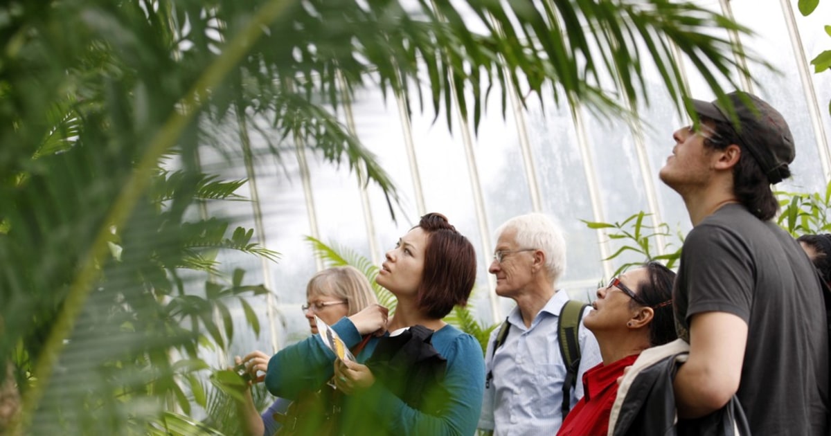 Fifth of world's plants at risk of extinction, experts warn