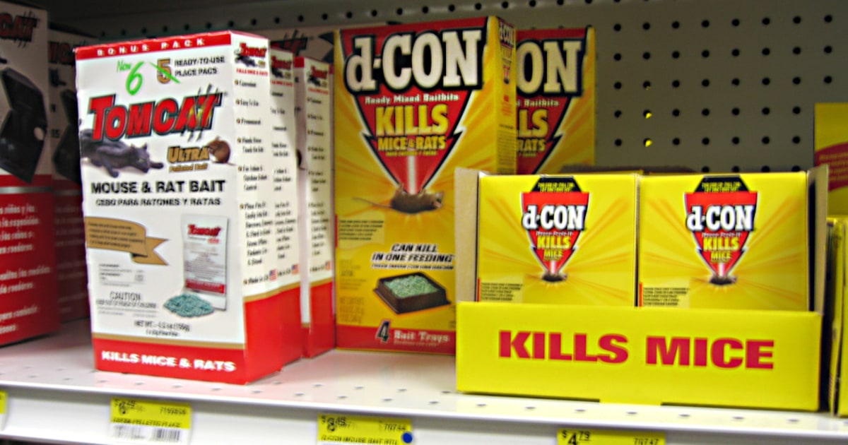 Decades on, EPA on verge of curbing use of rat poisons