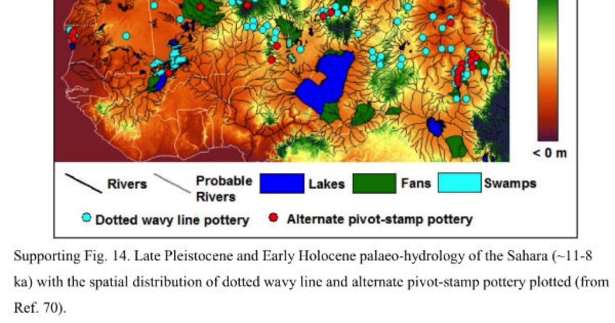 Fish swam the Sahara, bolstering out of Africa theory
