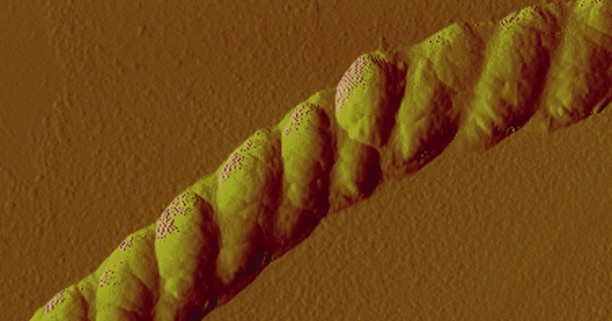 Introducing the world's tiniest rope