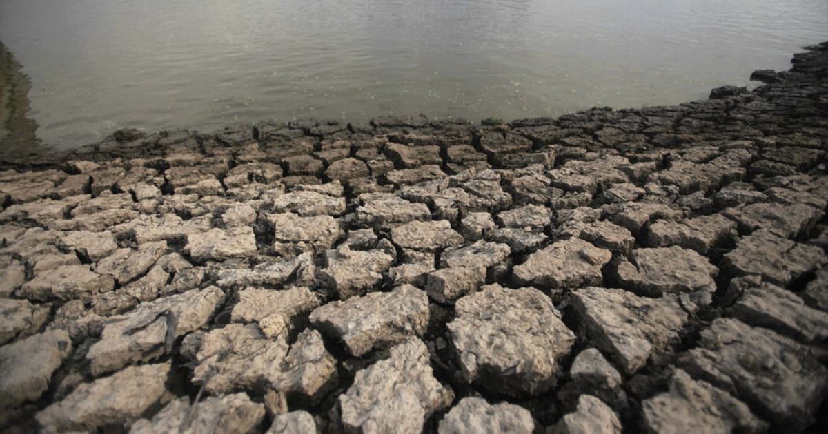 Amazon drought caused huge CO2 emissions