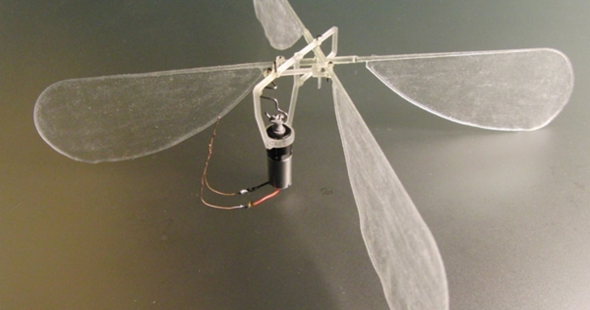 Robotic insects take flight on wings made using printers