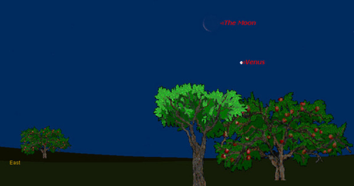 Wake up to Venus and moon shining together