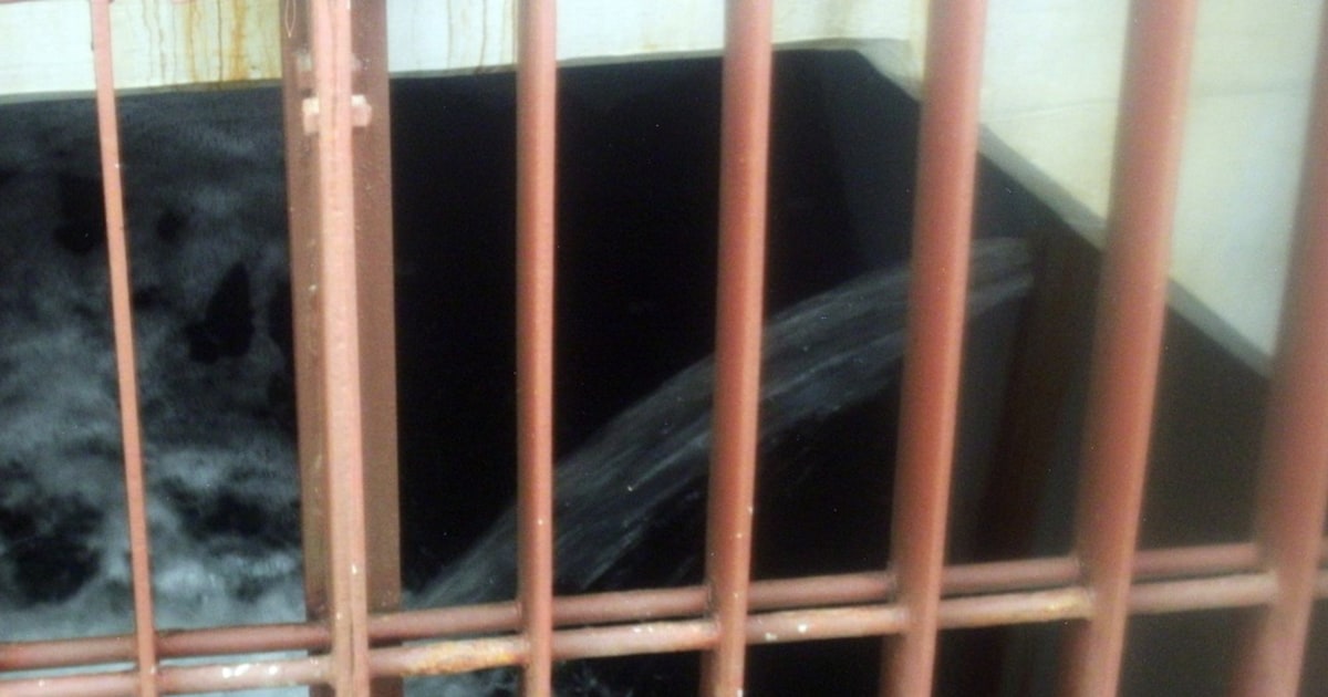 Diaper absorbent used to try to plug nuke leak