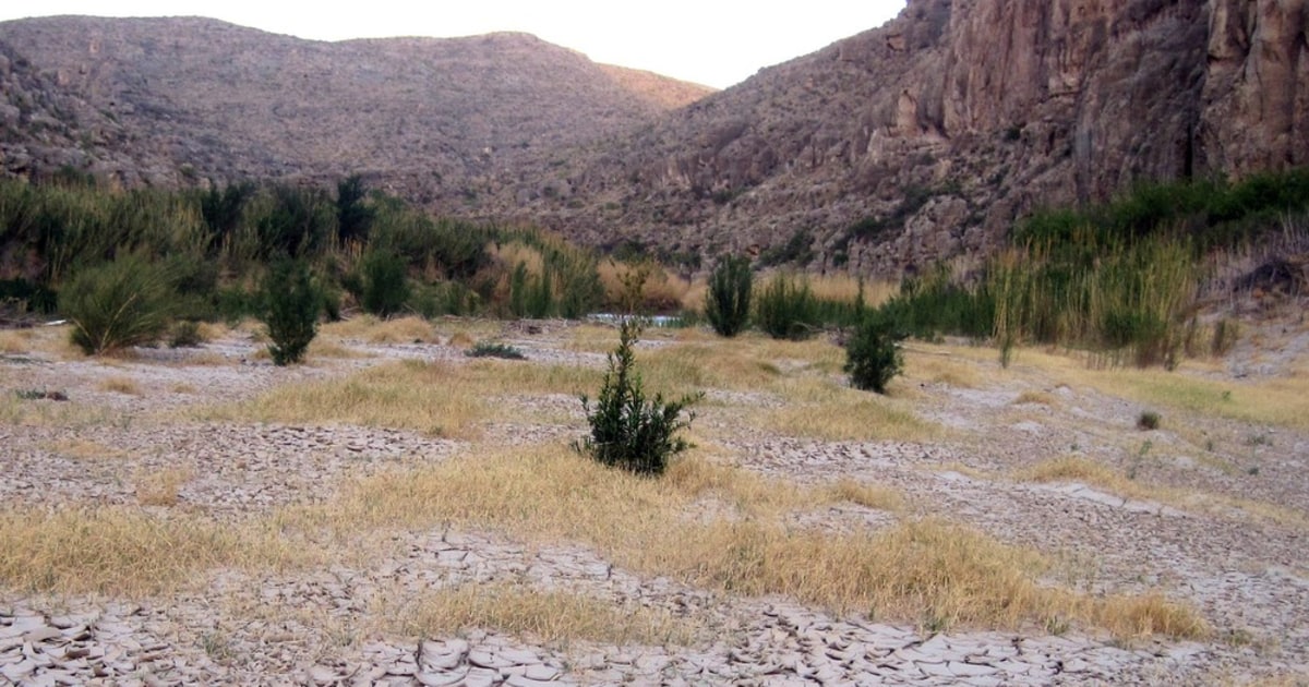 Drought in Texas intensifies, causing 'massive' crop losses