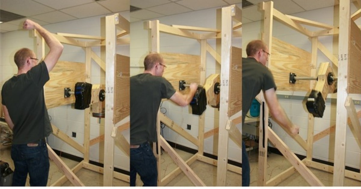 Why early humans first stood up: to punch better