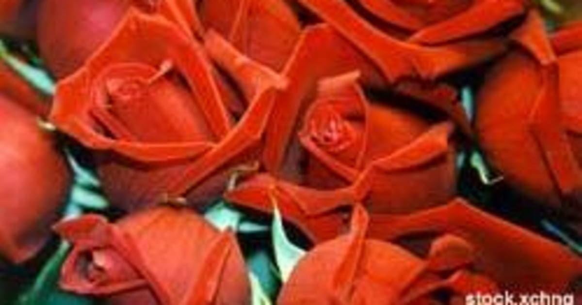 Get a whiff of this: Scents affect thoughts and behavior