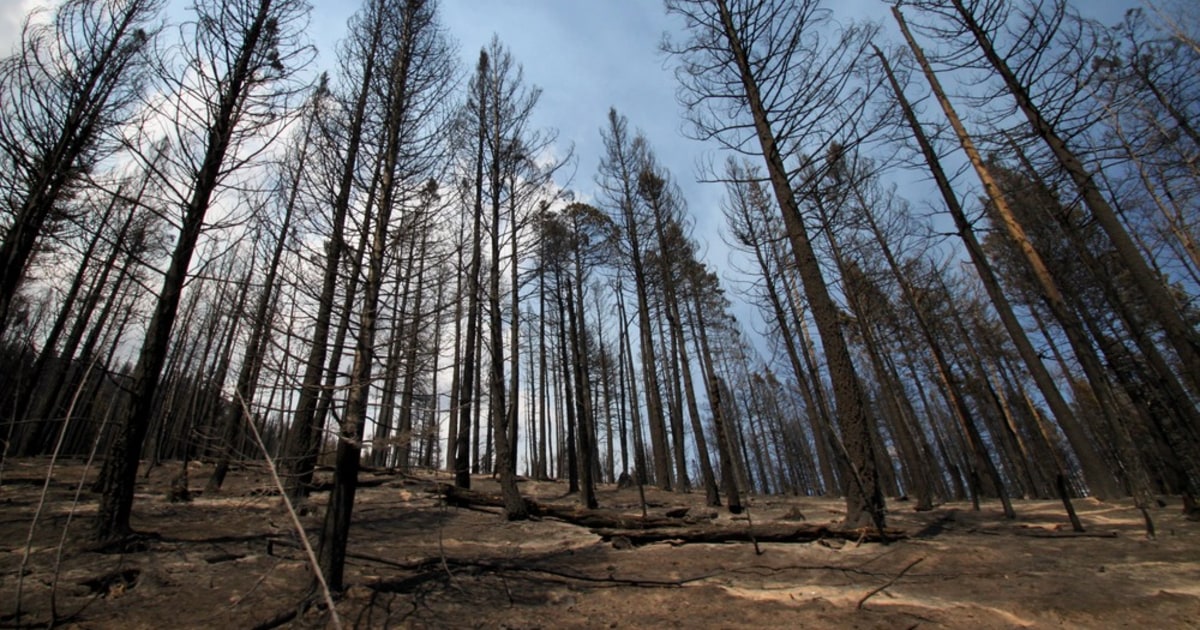 Weather helps fight to save sacred mountain from wildfire