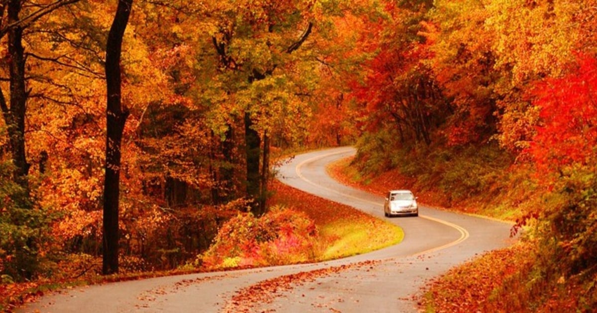 America's best fall color drives