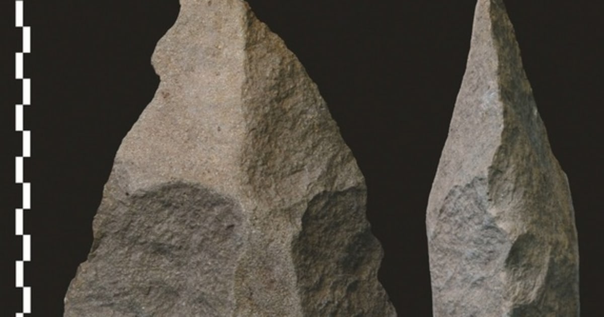 Scientists say our ancestors used tools earlier than thought