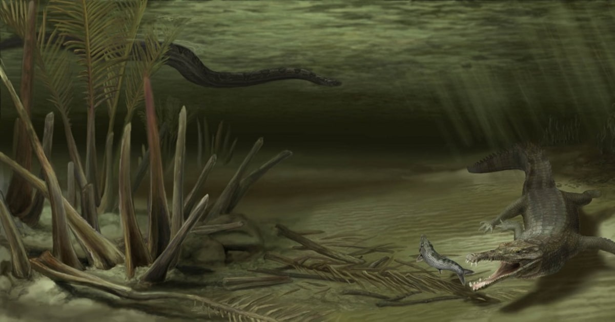 A 20-foot crocodile vs. a 40-foot snake? Beastly!