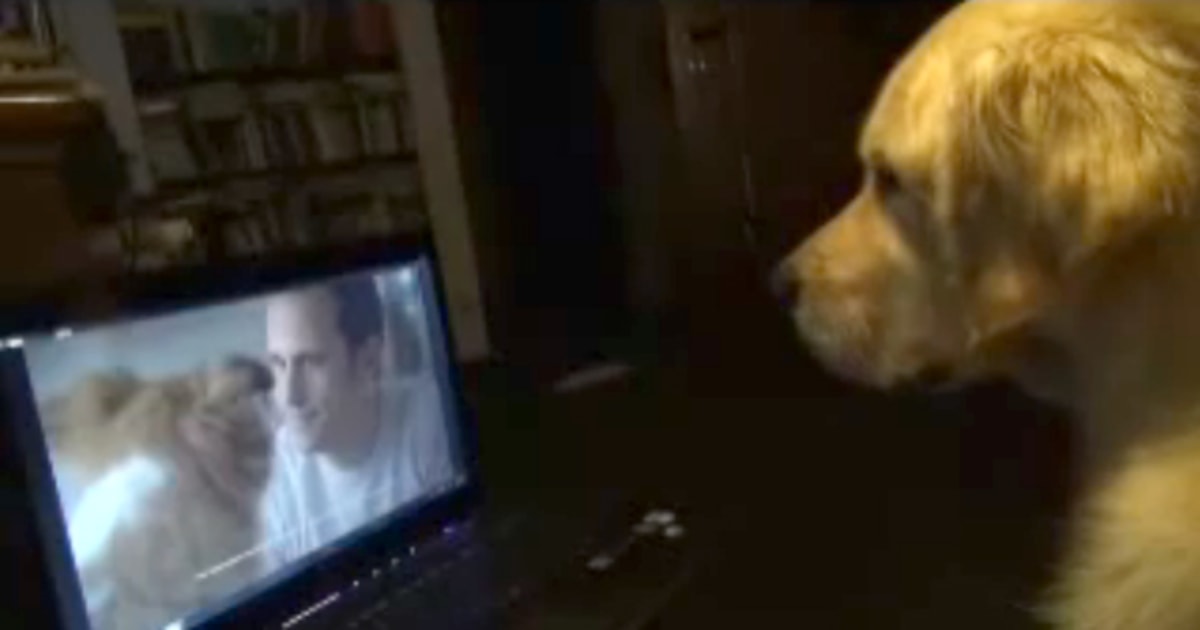 Nestle ad first to pitch to canine customers