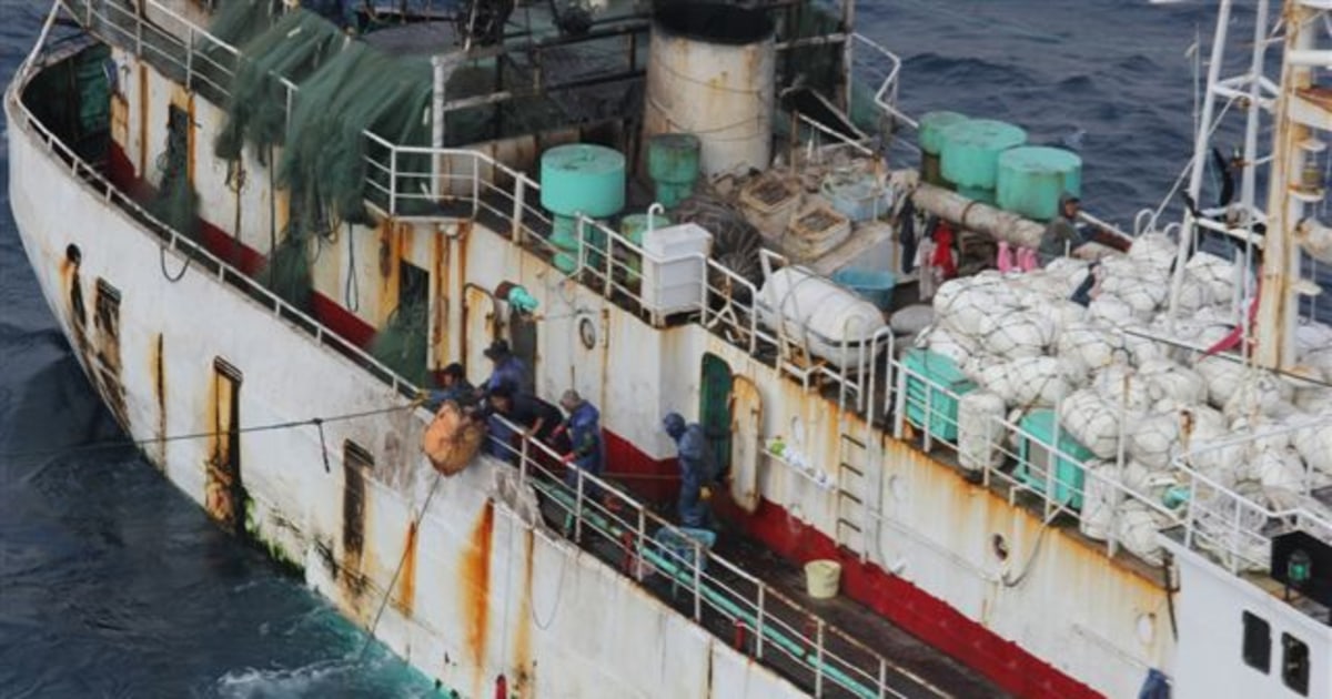 Rat-infested ship to be cleaned; senator wants it sunk