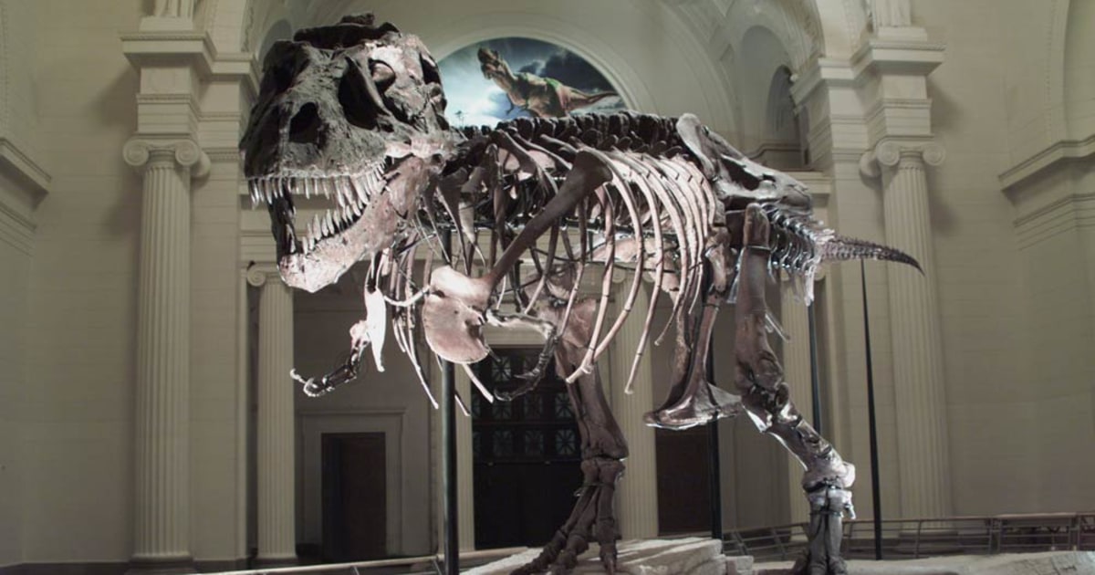 And weighing in at over 9 tons ... T. rex!