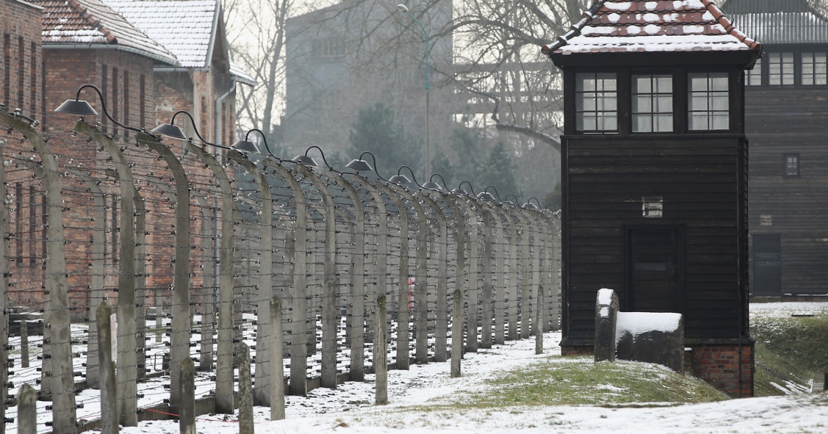 Investigation into Auschwitz crimes reopened