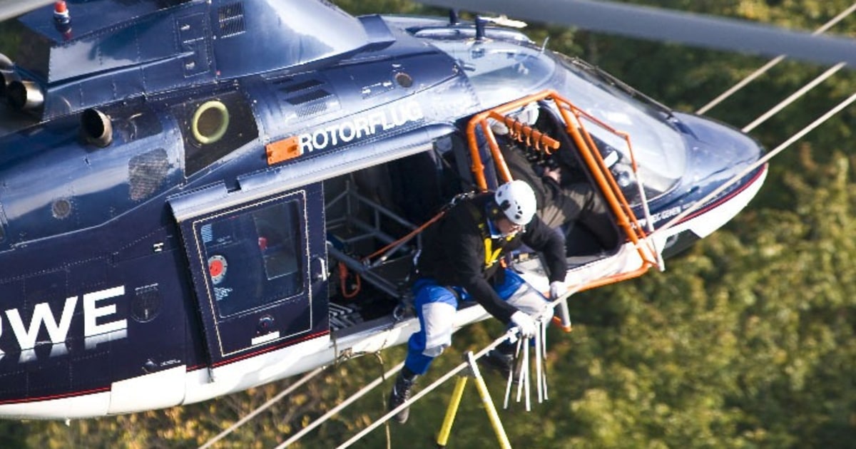 Report: Millions of birds killed by power lines