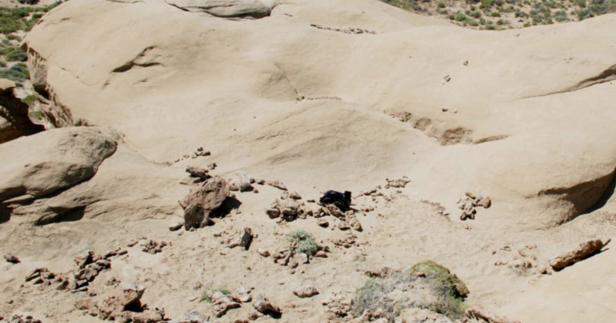 No bones about it, computers help out fossil hunters