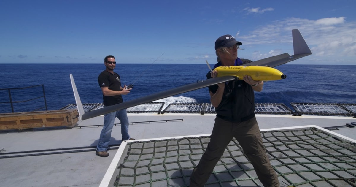 Drones deployed against Japan's whaling fleet