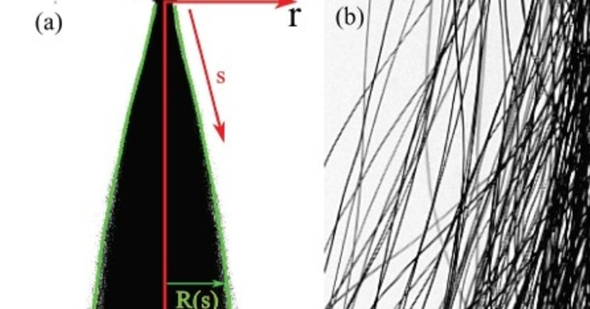 'Rapunzel Number' helps scientists quantify ponytails