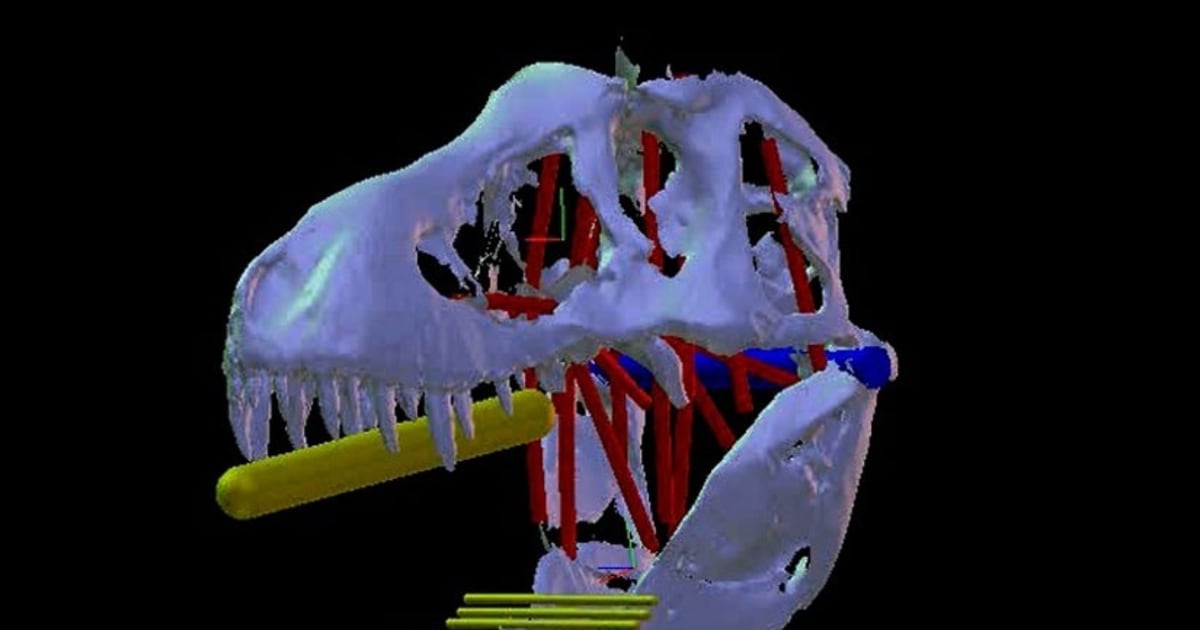 Scientists say T. rex had the toughest bite on earth