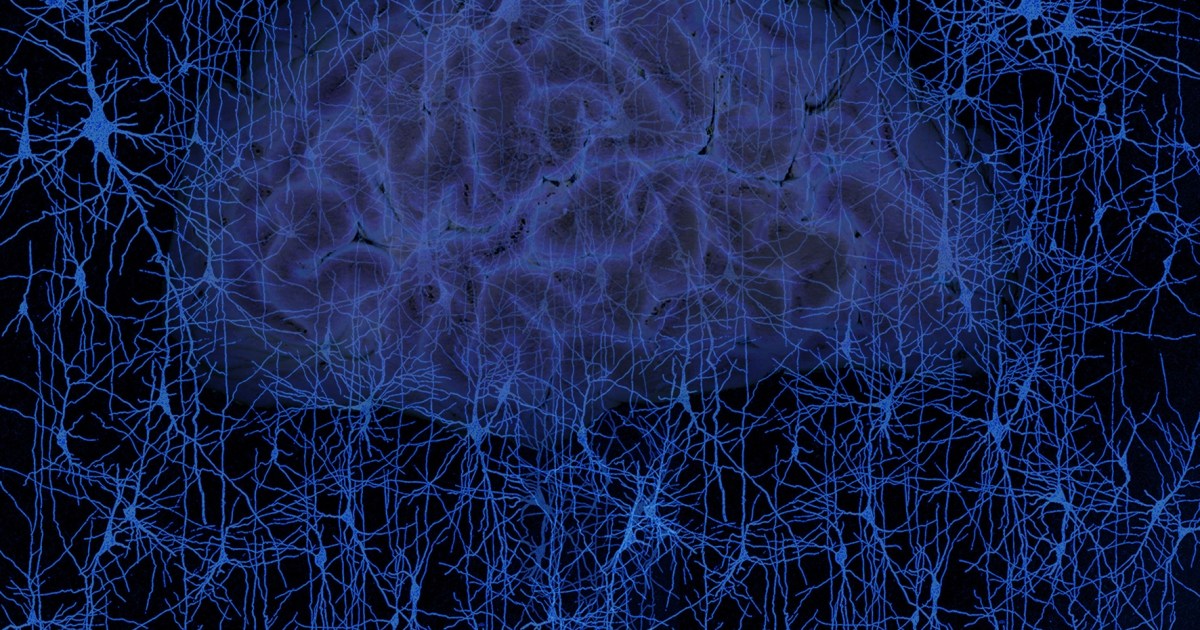 The assignment: Build a human brain from scratch