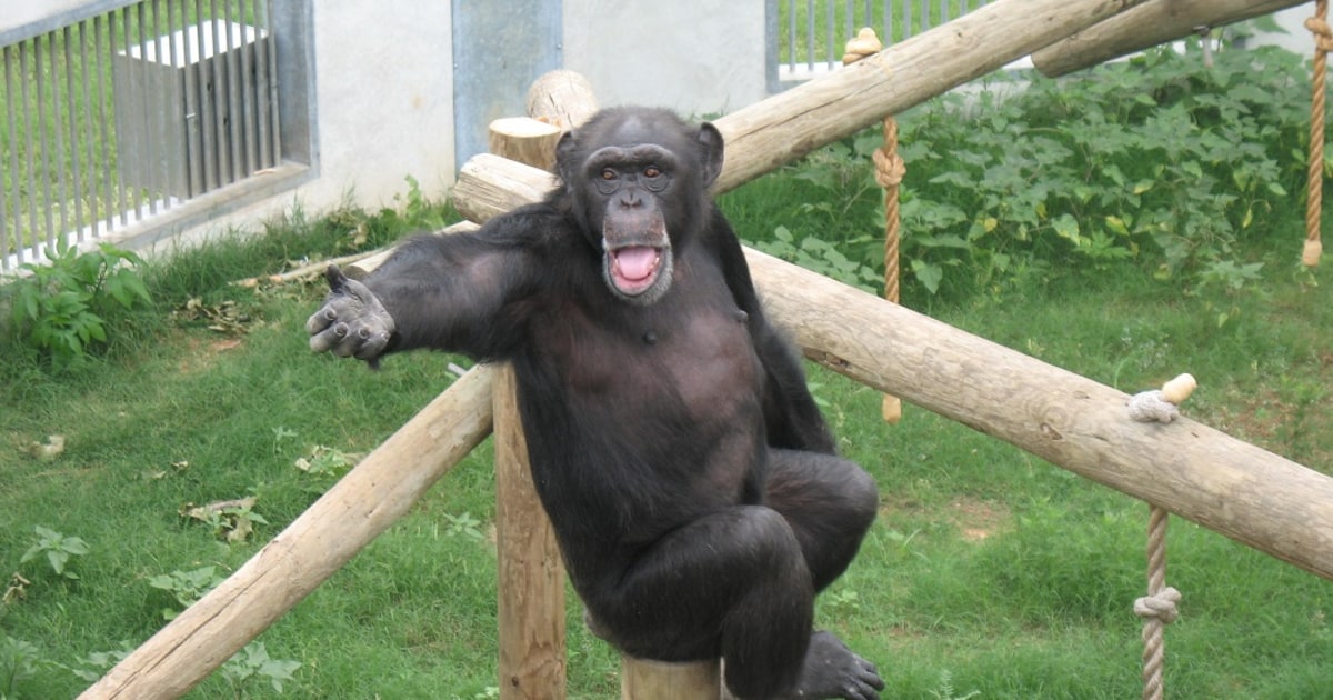 what is blowing raspberry