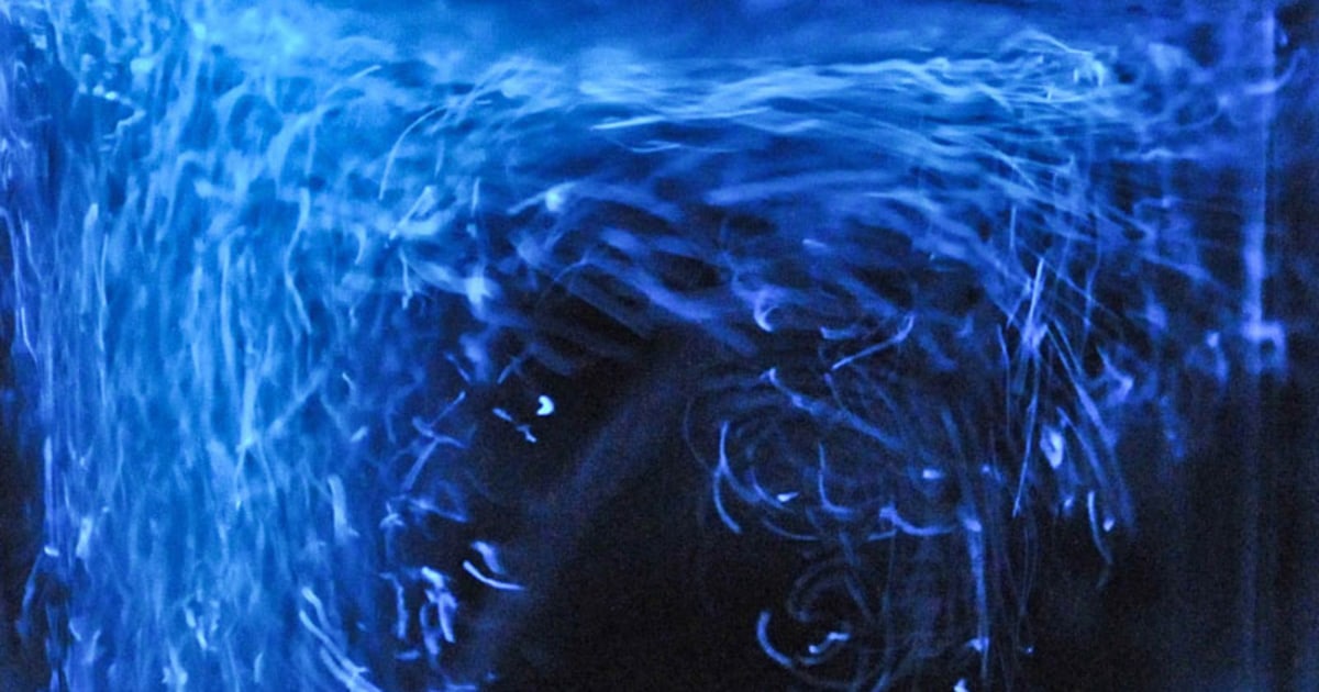 Living light: How and why organisms glow