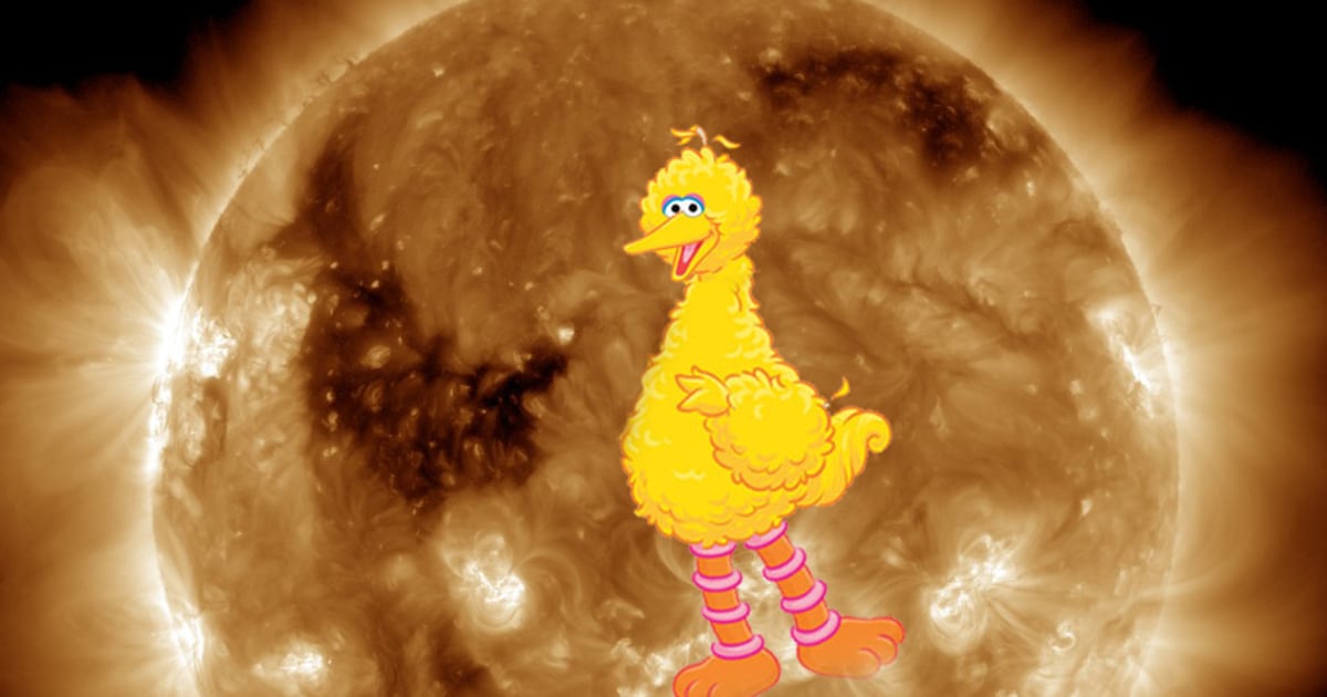 Big Bird has his day in the sun — or rather ON the sun